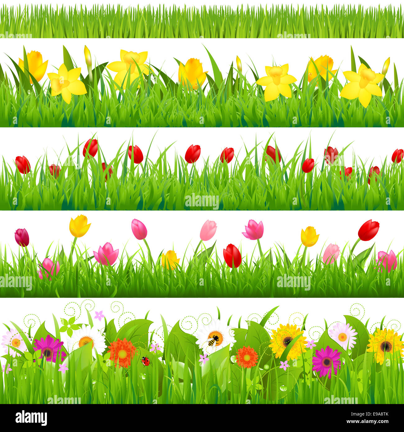 Flower Borders Set Stock Photo - Alamy