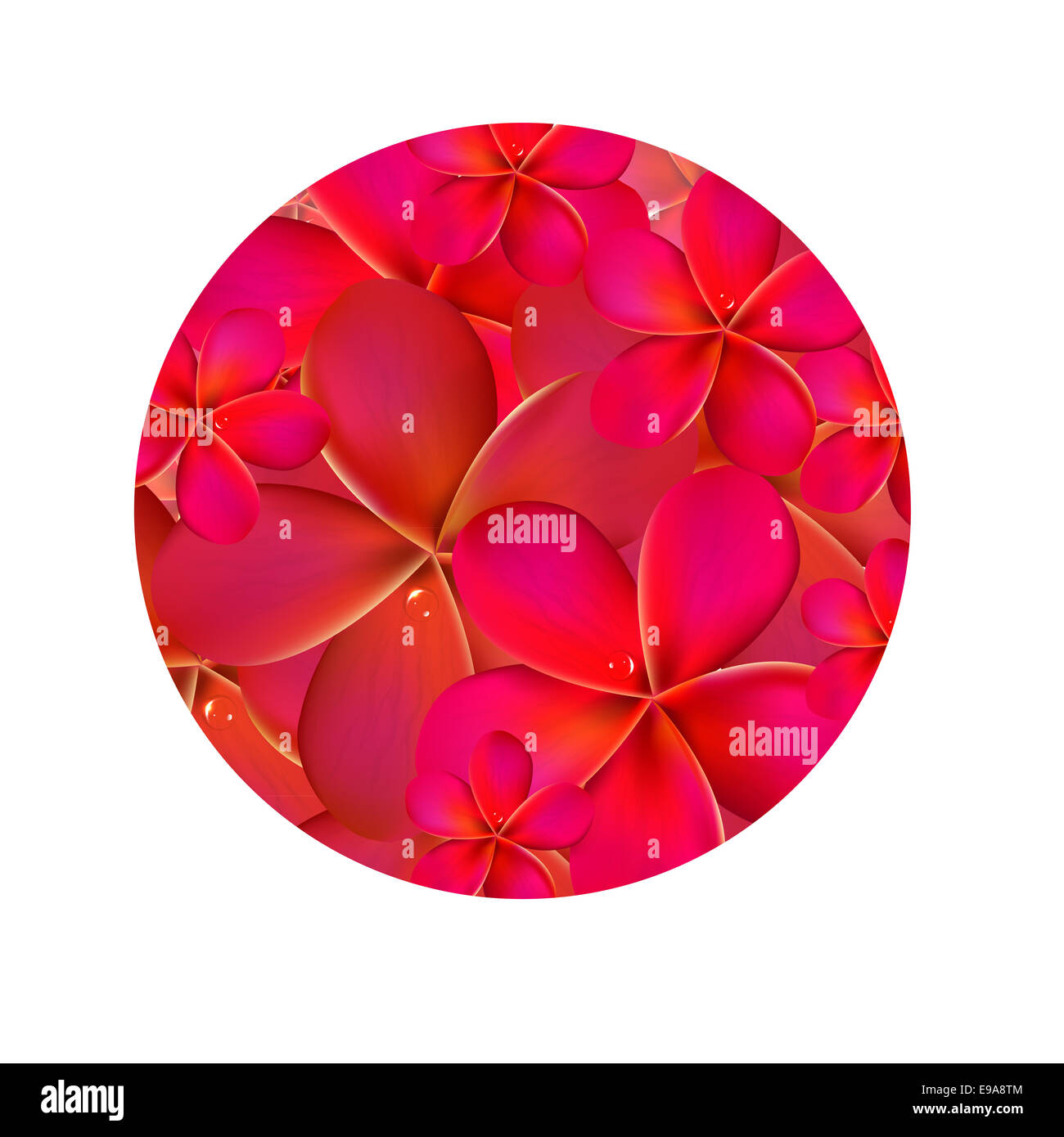 Pink frangipani border Cut Out Stock Images & Pictures - Alamy