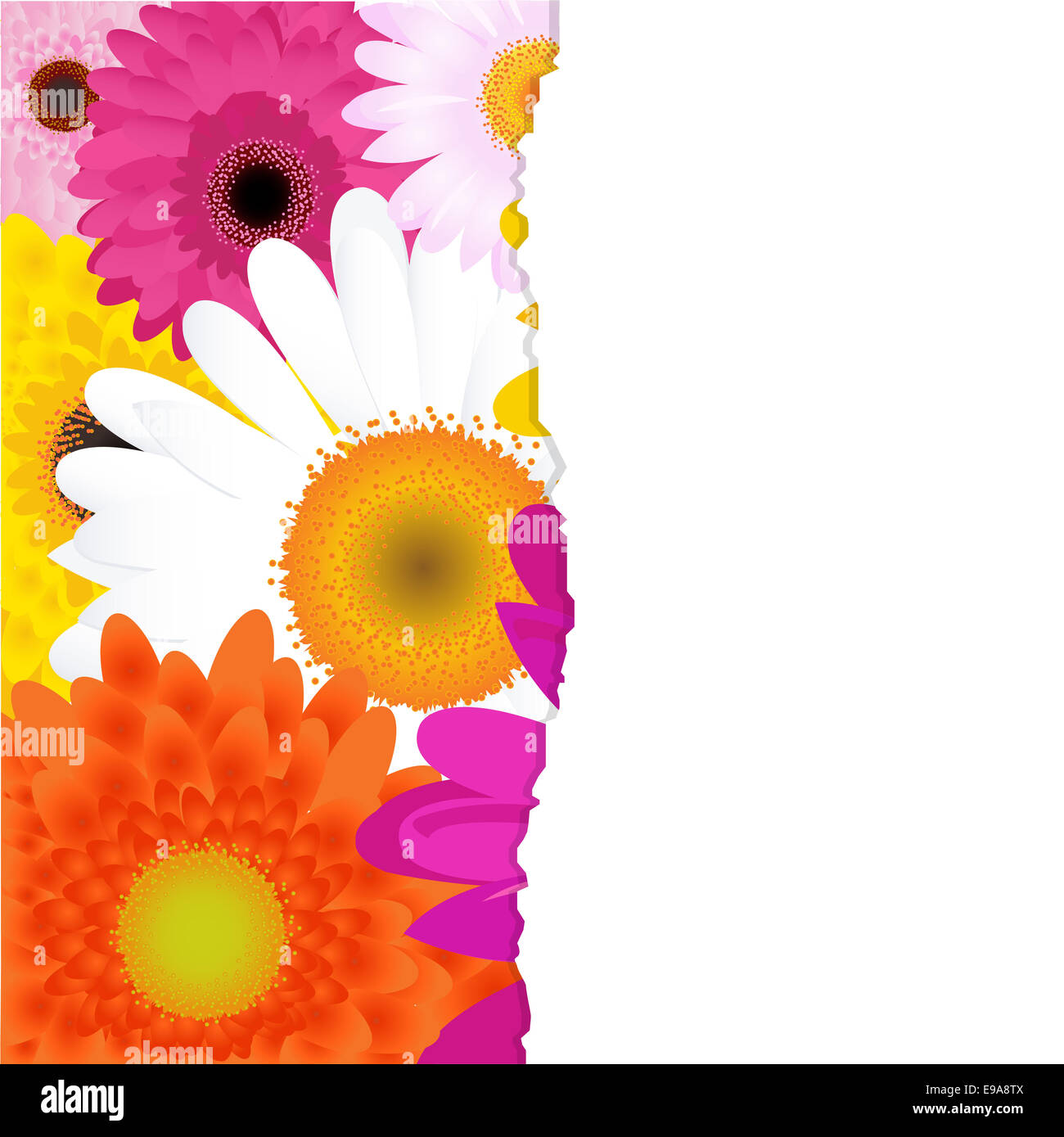 Torn flowers hi-res stock photography and images - Alamy