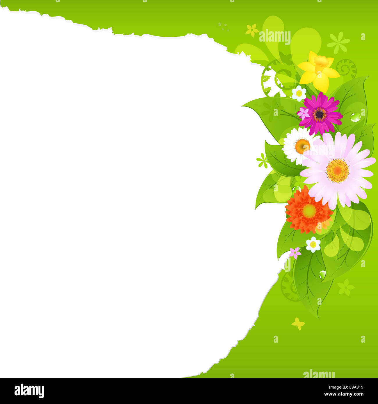 Fragmentary floral design hi-res stock photography and images - Alamy