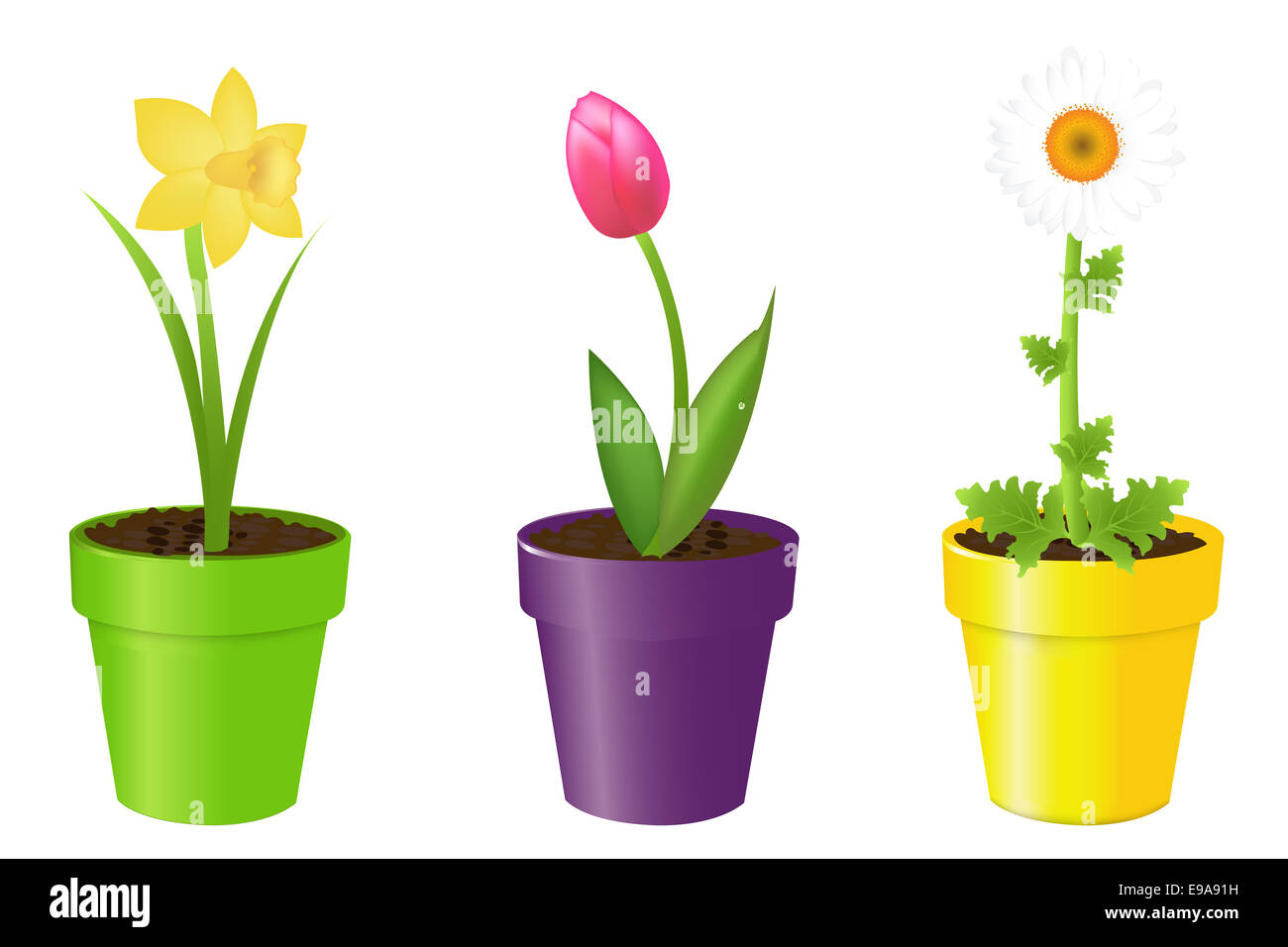 Garden flowers in pots Cut Out Stock Images & Pictures - Alamy