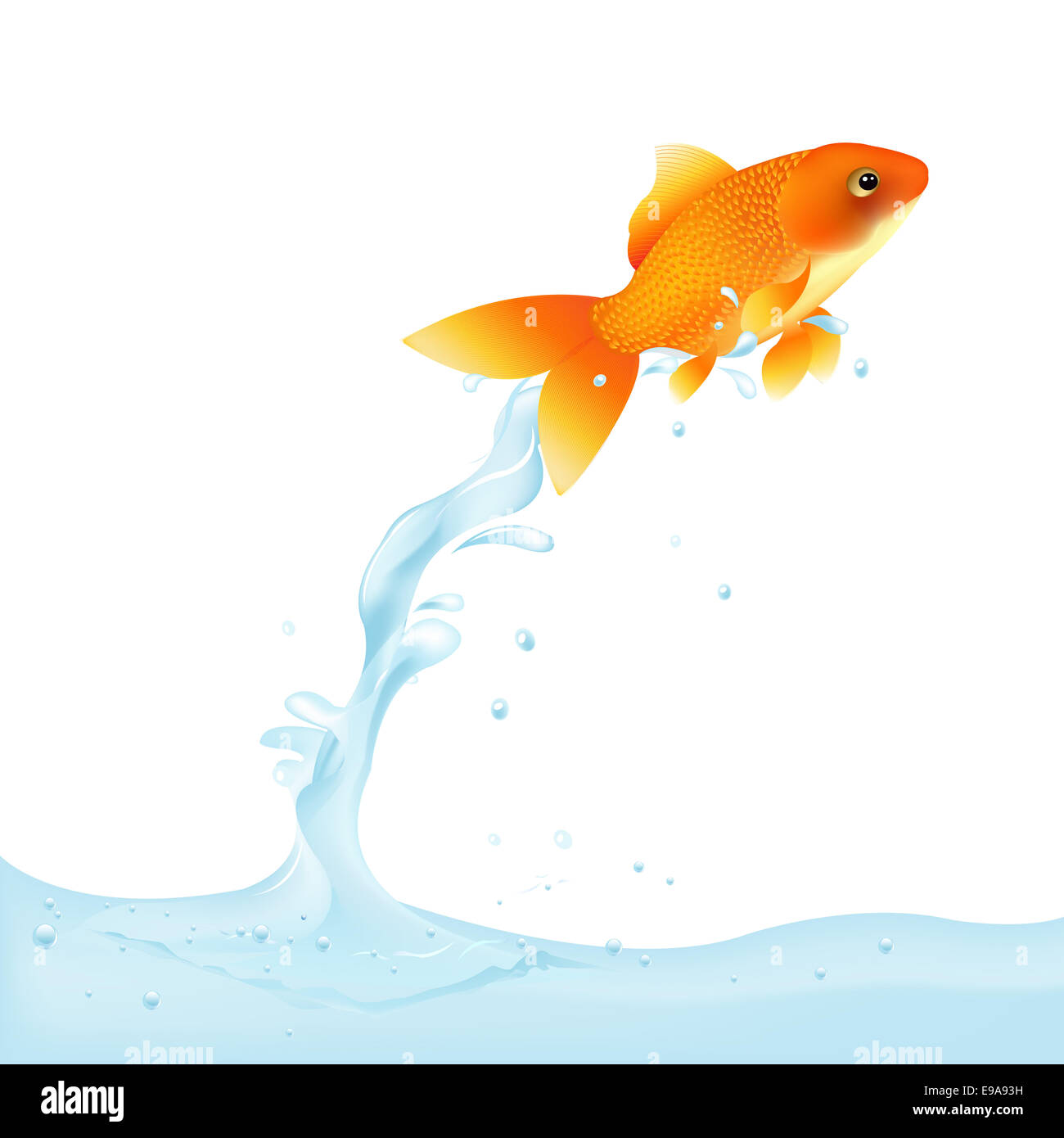Goldfish water splash hi-res stock photography and images - Alamy