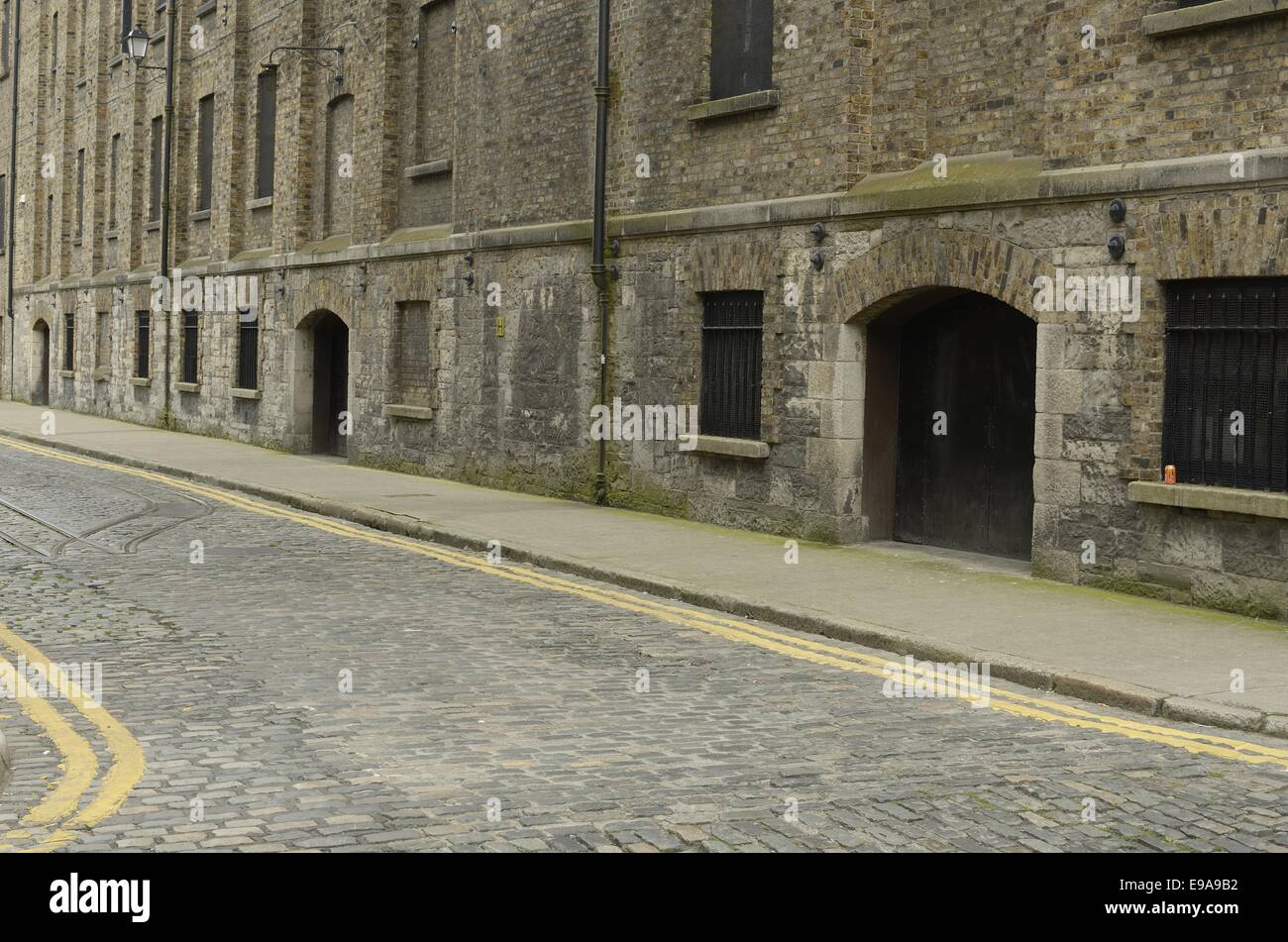 Penny tree hi-res stock photography and images - Alamy