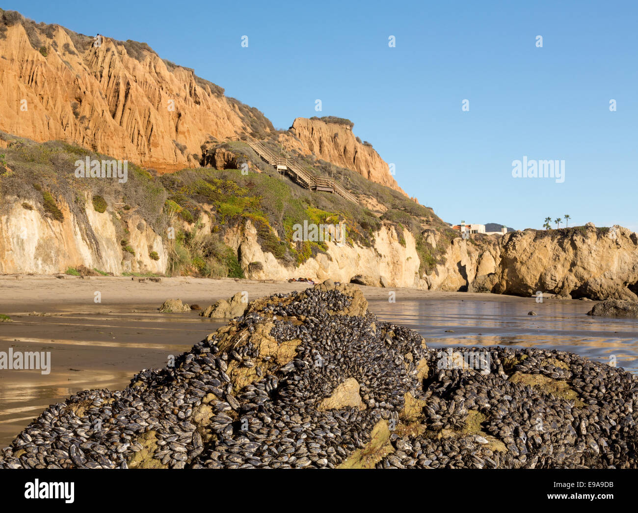 El Matador State Beach California Stock Photo - Alamy