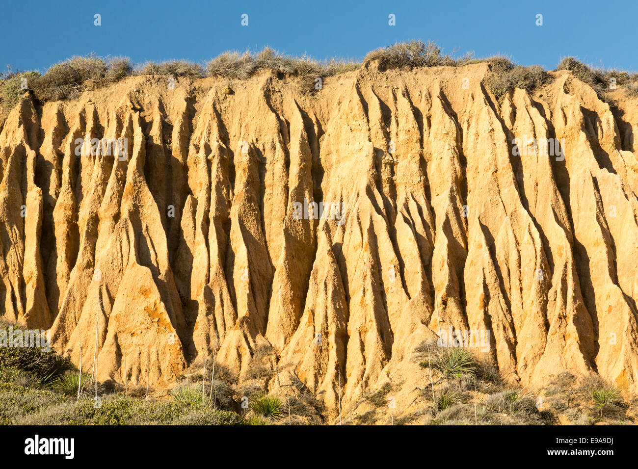 The matador hi-res stock photography and images - Alamy