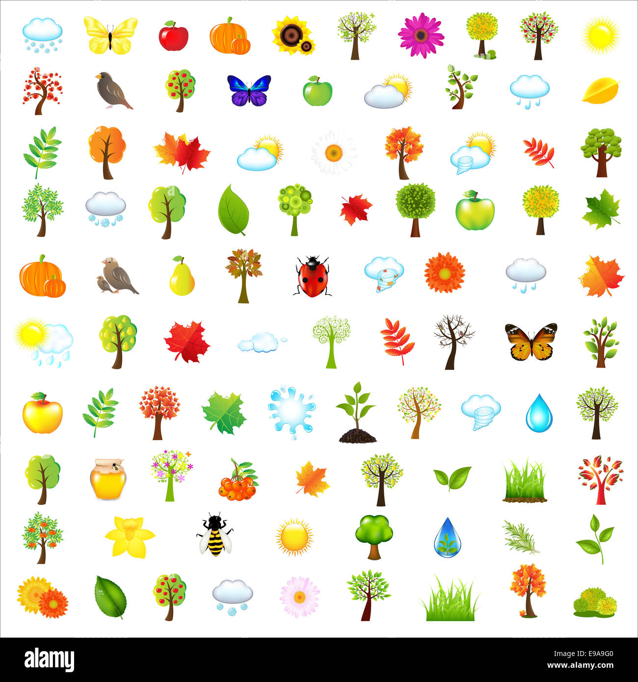 Set Of Natural Elements Stock Photo - Alamy