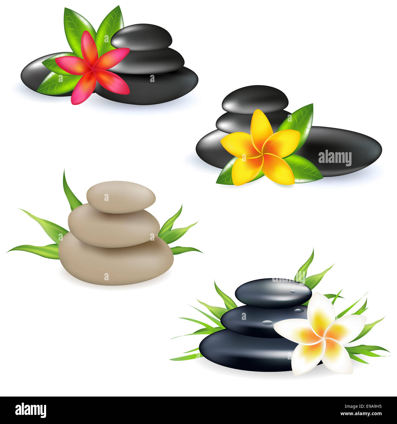 Flora of tonga hi-res stock photography and images - Alamy