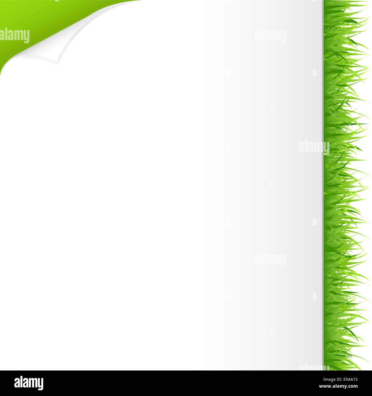 Green Grass And Paper Stock Photo - Alamy