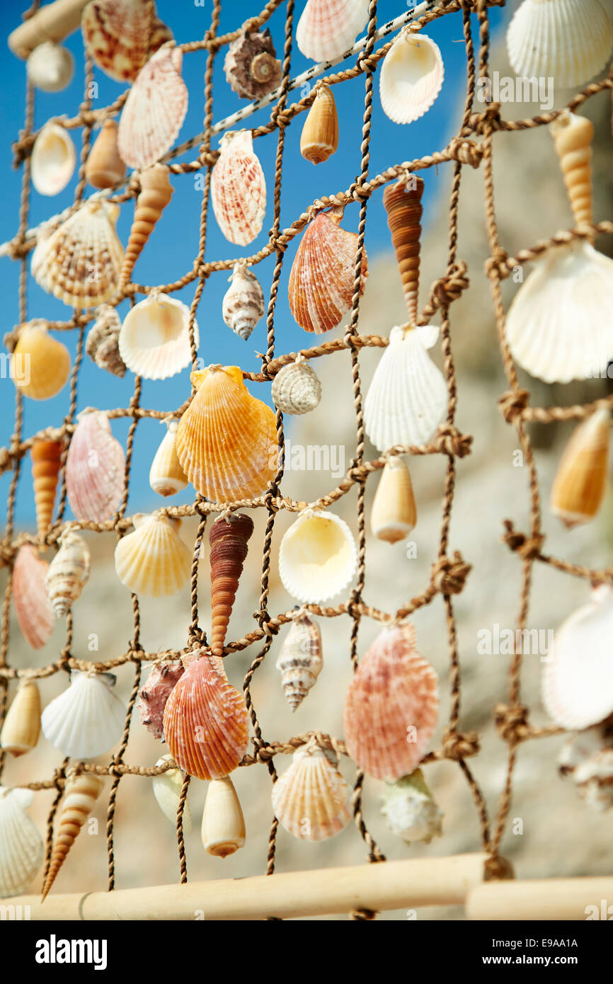 Shells, Pserimos village in Greek islands Stock Photo - Alamy