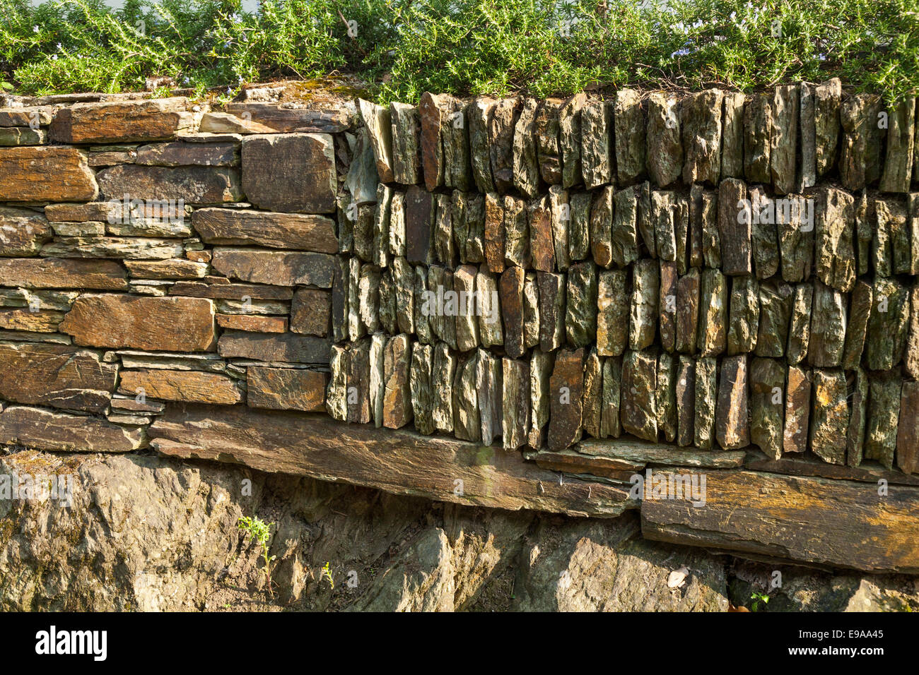 Traditional Cornish dry stone wall made from - what appears to be ...