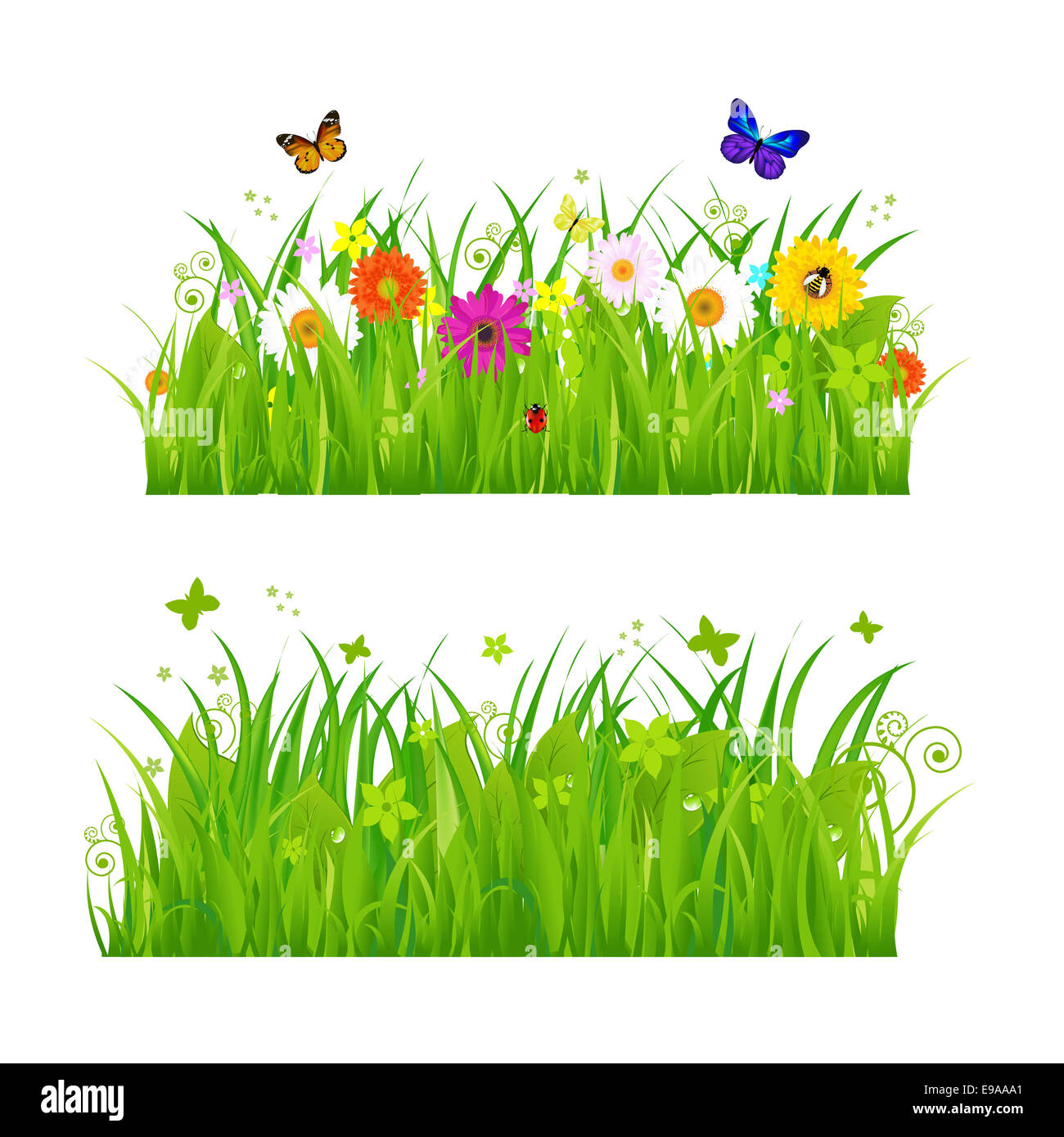 Green Grass With Flowers And Insects Stock Photo - Alamy