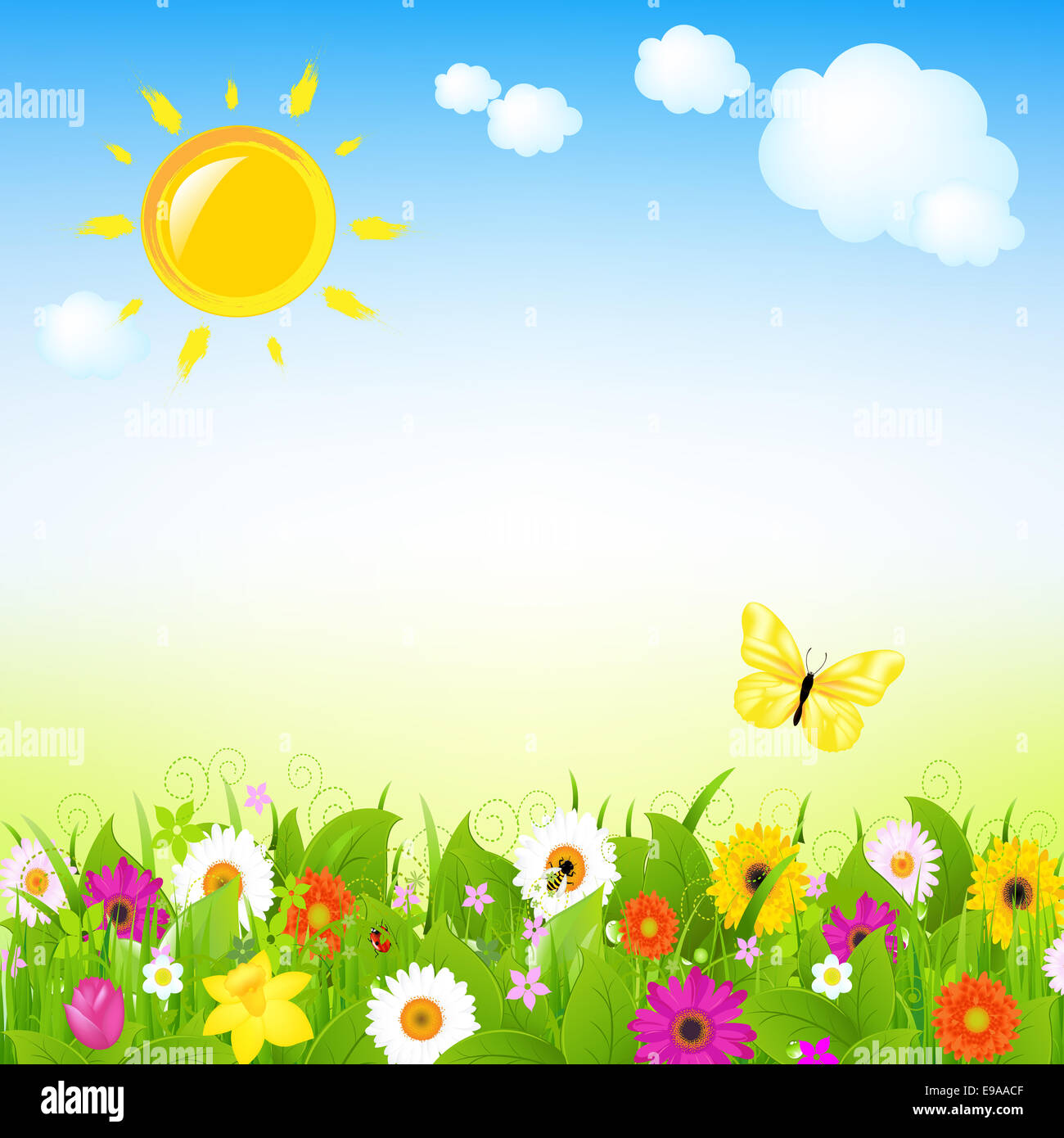 Sun And Flowers Stock Photo - Alamy