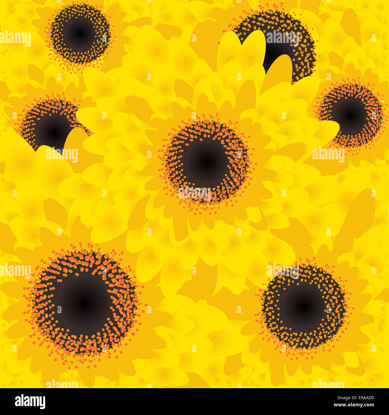 Spring flowers sun Cut Out Stock Images & Pictures - Alamy