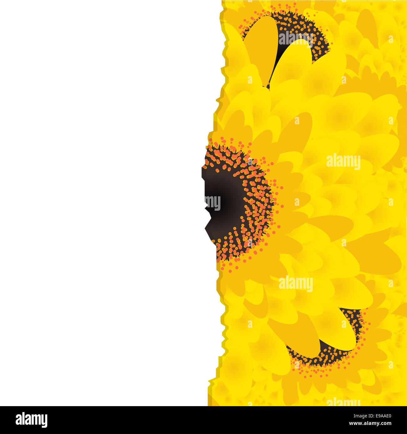 Spring flowers sun Cut Out Stock Images & Pictures - Alamy