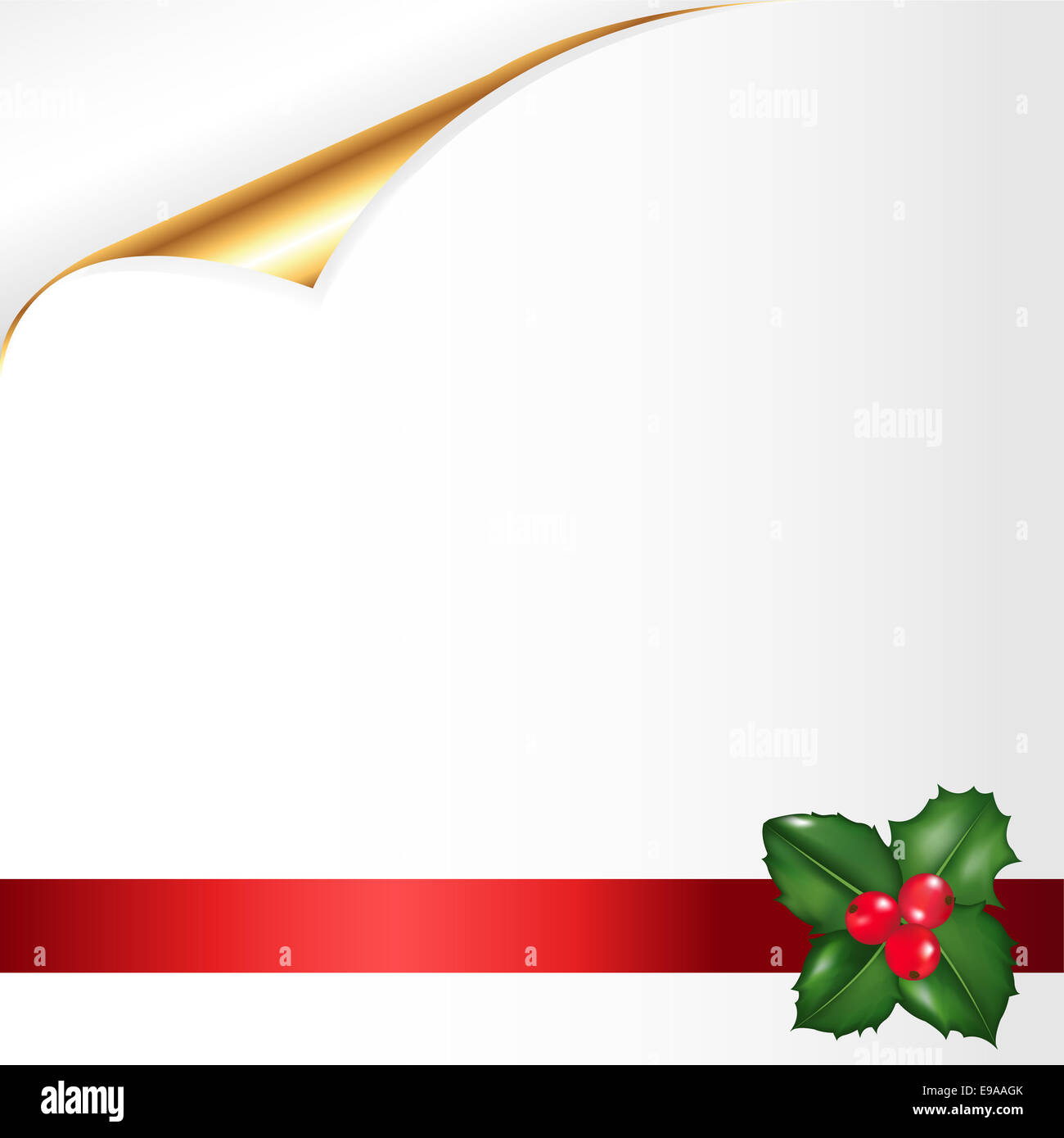 Holly Berry And Paper Stock Photo - Alamy