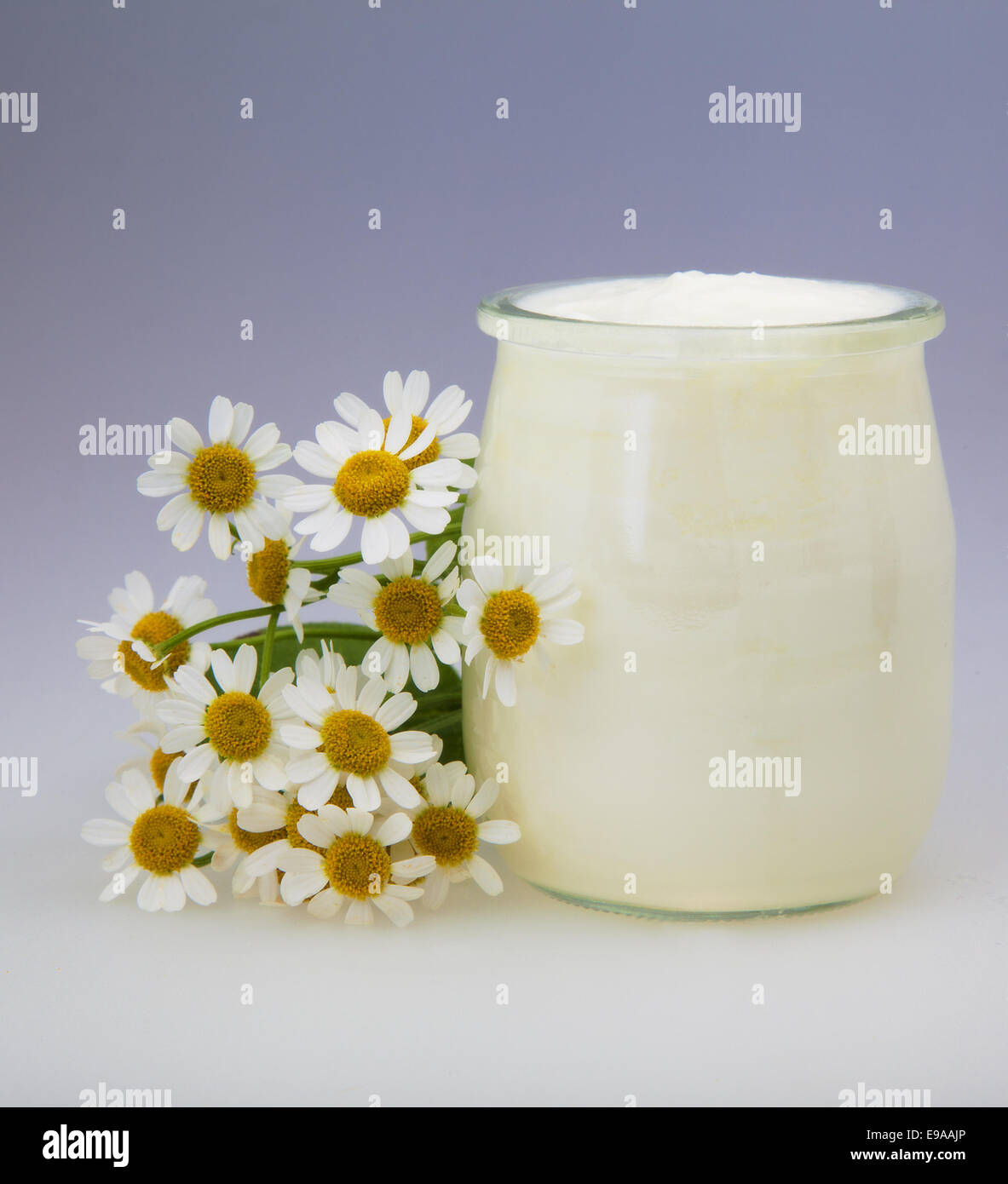 Yogurt With Chamomile Flower Stock Photo - Alamy