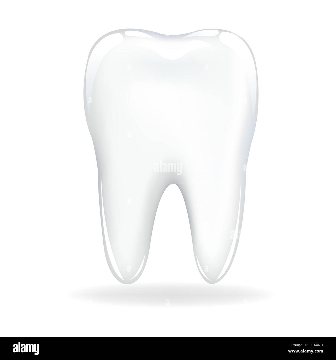 Tooth neck hi-res stock photography and images - Alamy