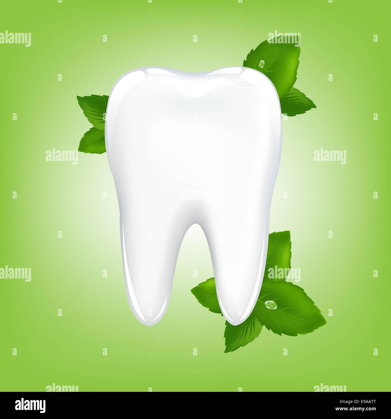 Tooth With Mint Stock Photo - Alamy