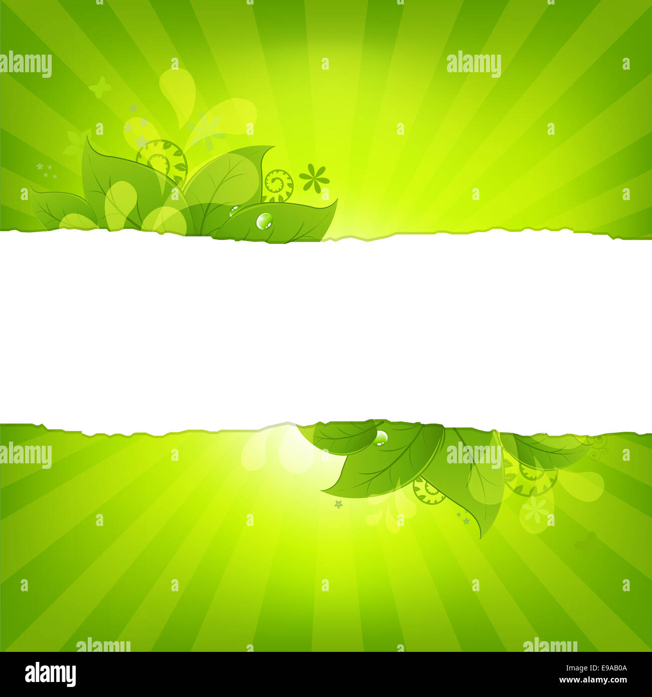 Natural Background With Leaves And Sunburst Stock Photo - Alamy