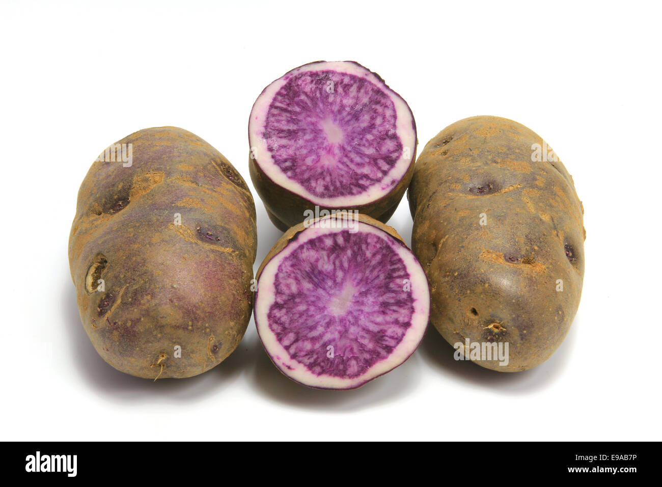 Blaue kartoffel hi-res stock photography and images - Alamy