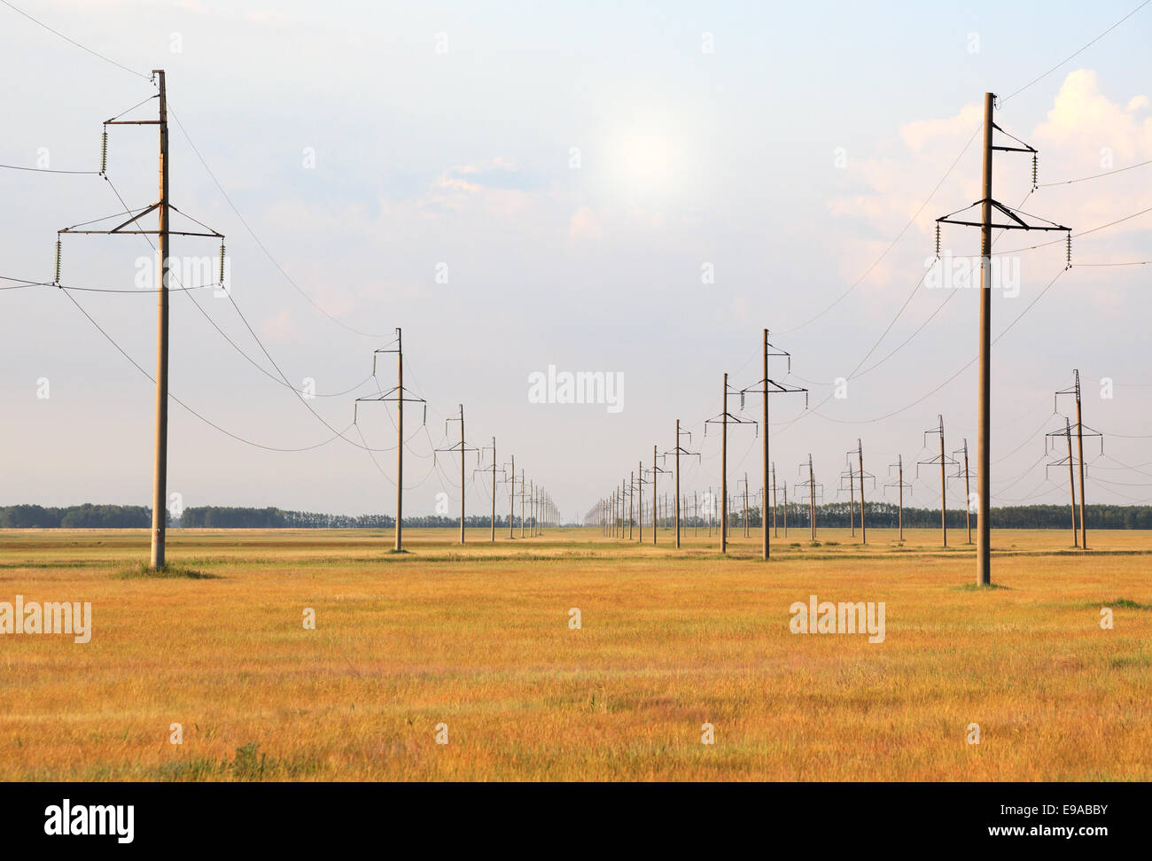 Power poles in field hi-res stock photography and images - Alamy