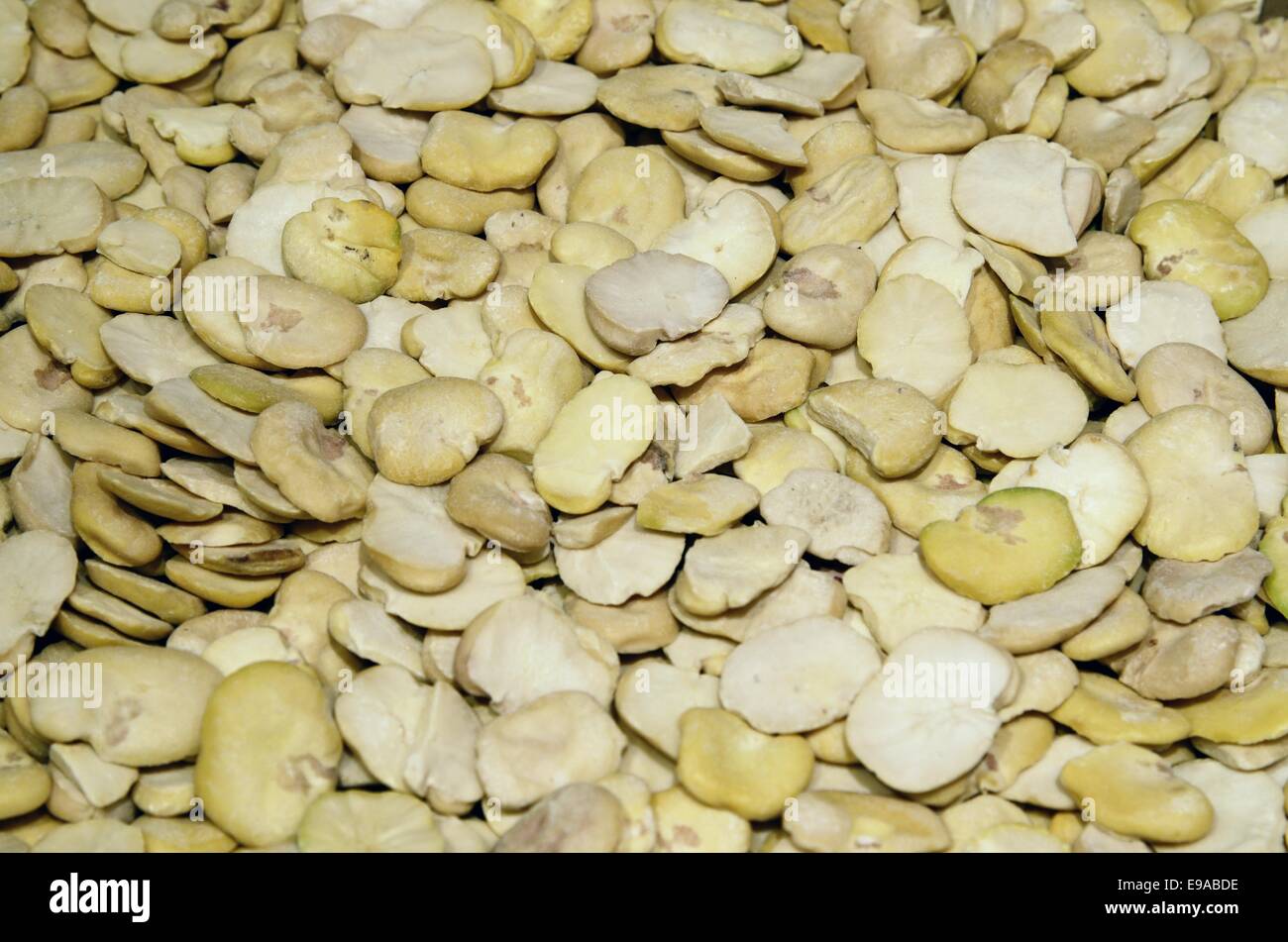 Fava fiber hi-res stock photography and images - Alamy