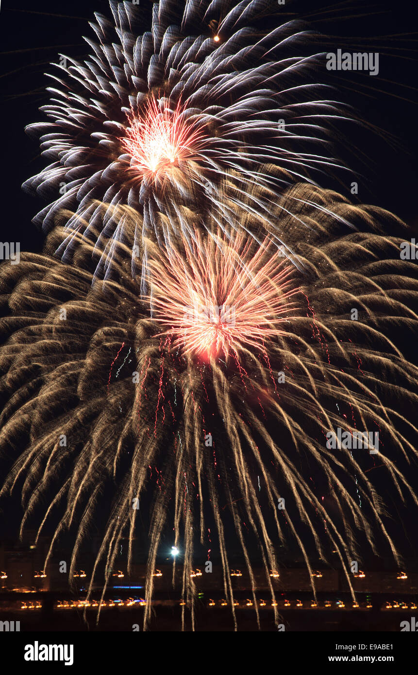 Beautiful fireworks in the night sky Stock Photo - Alamy