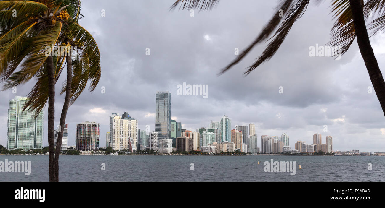 Dawn view of Miami Skyline Stock Photo - Alamy