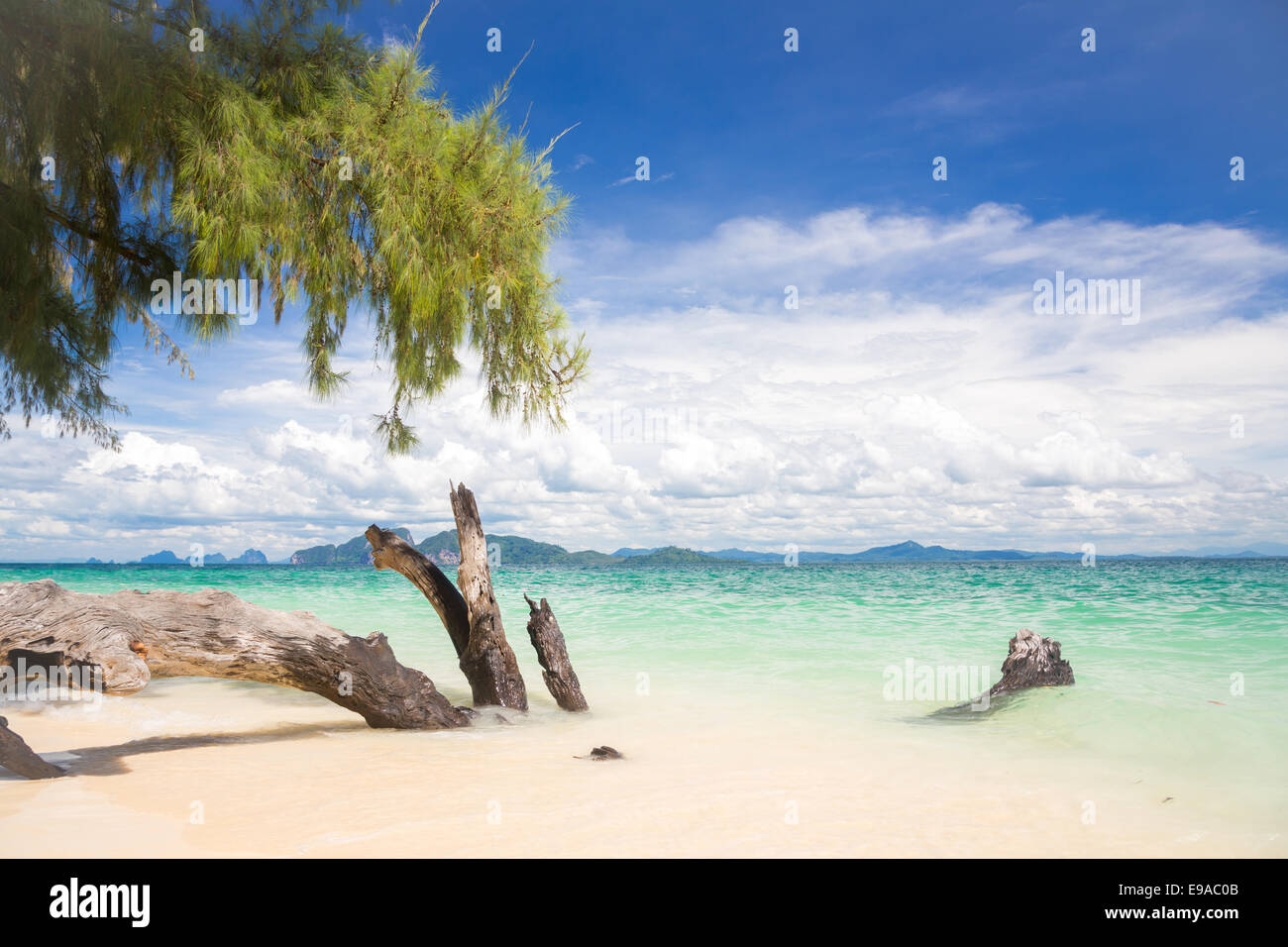 Andaman Beach Thailand Stock Photo - Alamy