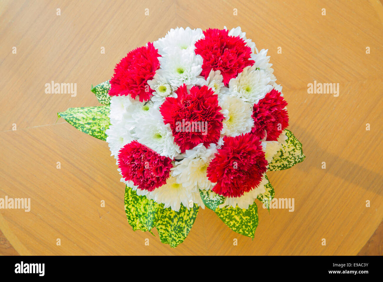Cream carnation hi-res stock photography and images - Alamy
