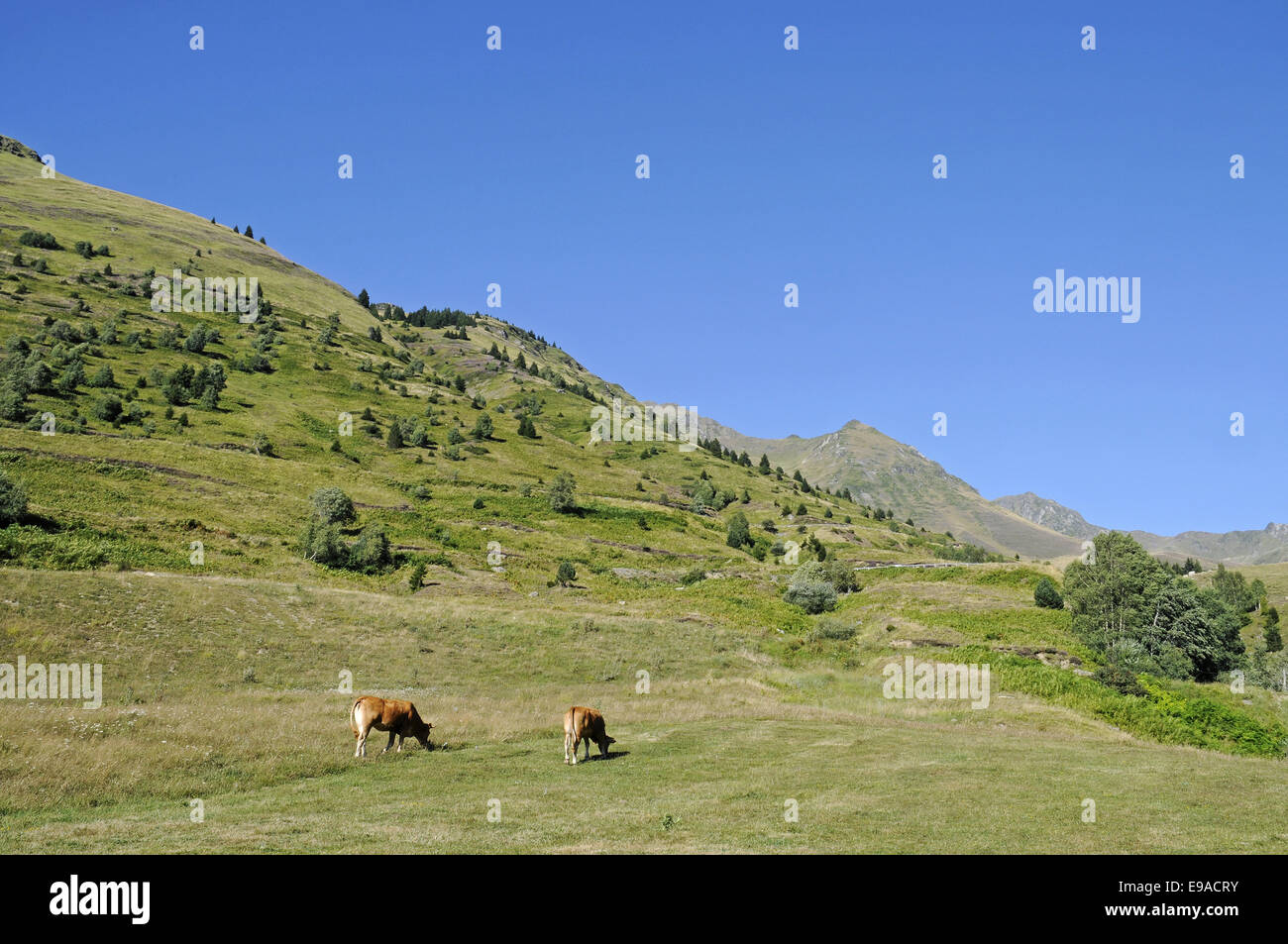 Tourmalet hi-res stock photography and images - Alamy