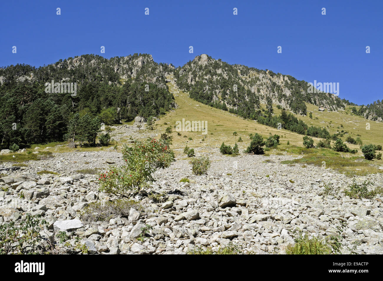 Franzoesische pyrenaeen nationalpark hi-res stock photography and ...