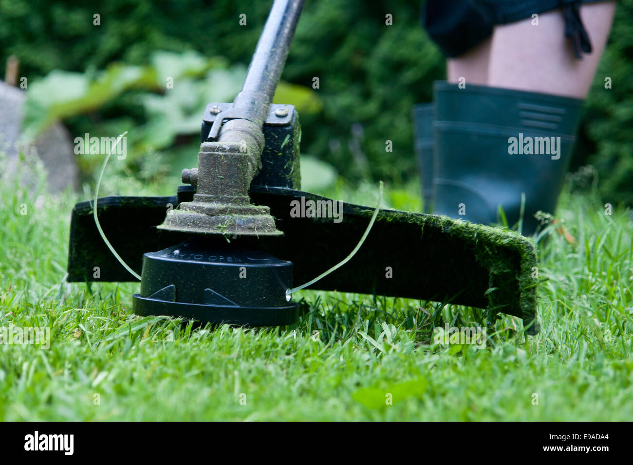 Electric trimmer Stock Photo - Alamy