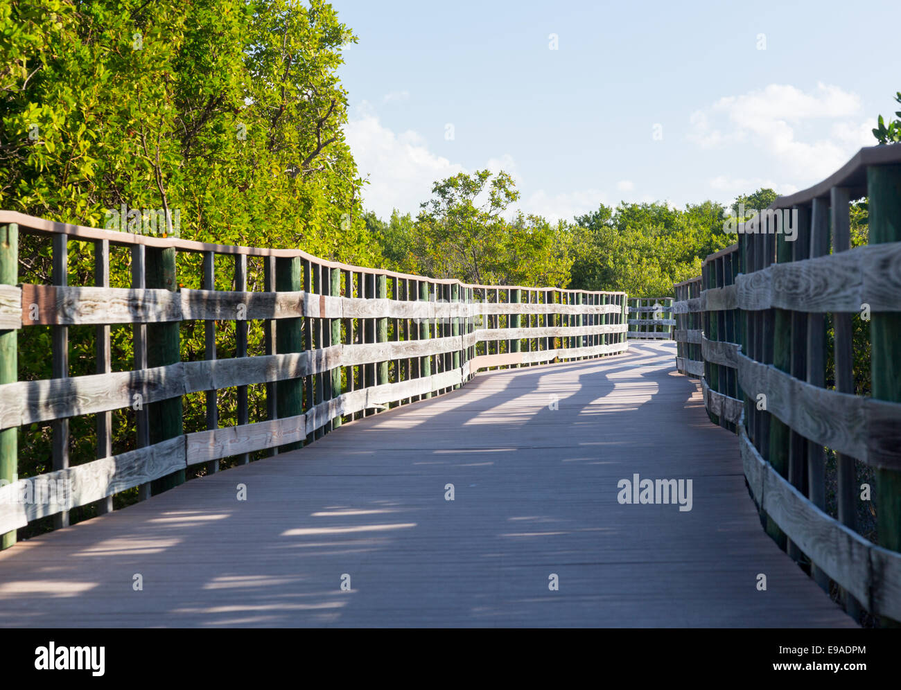 Florida Keys raised walkway Stock Photo - Alamy