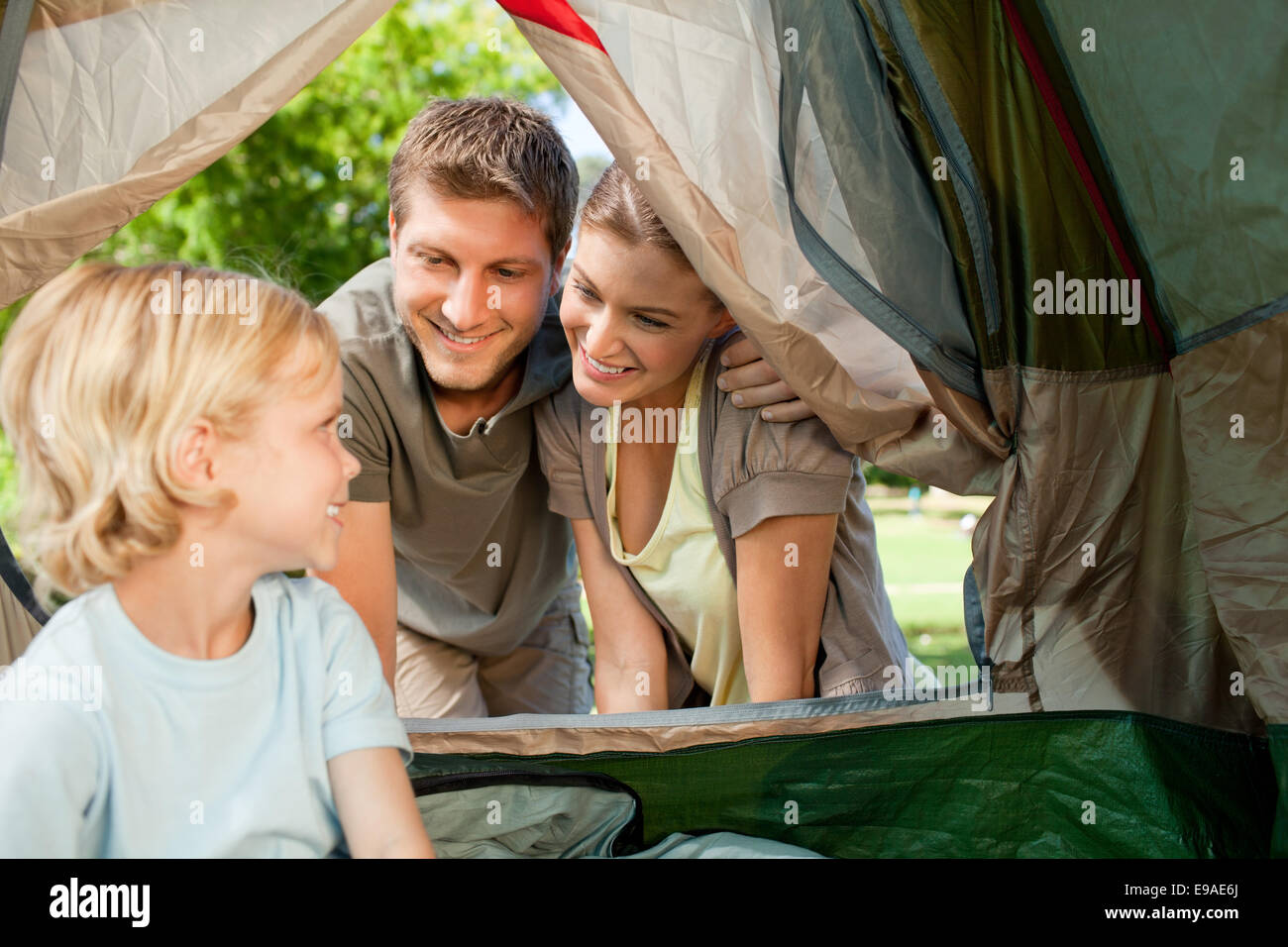 Family camping in the park Stock Photo - Alamy