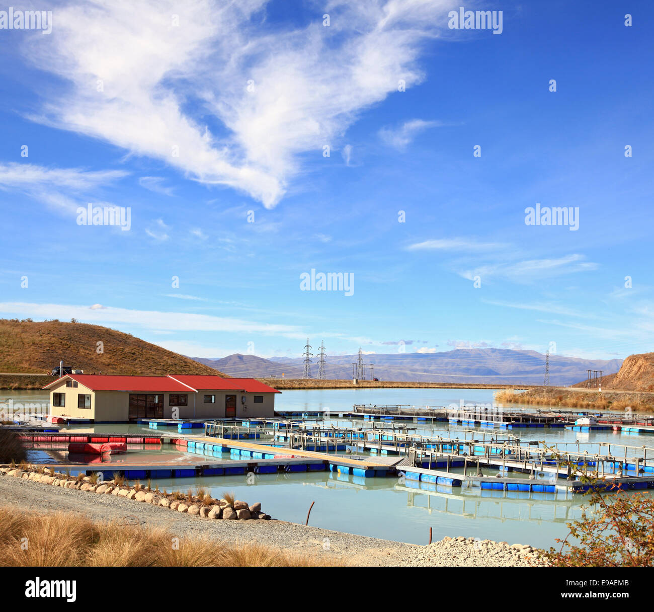 New zealand salmon farm hi-res stock photography and images - Alamy