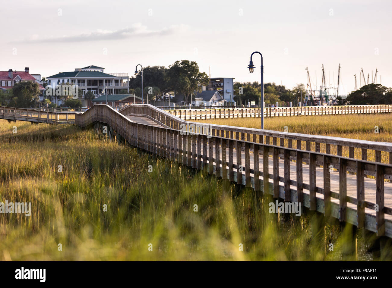 South carolina marsh walk hi-res stock photography and images - Alamy