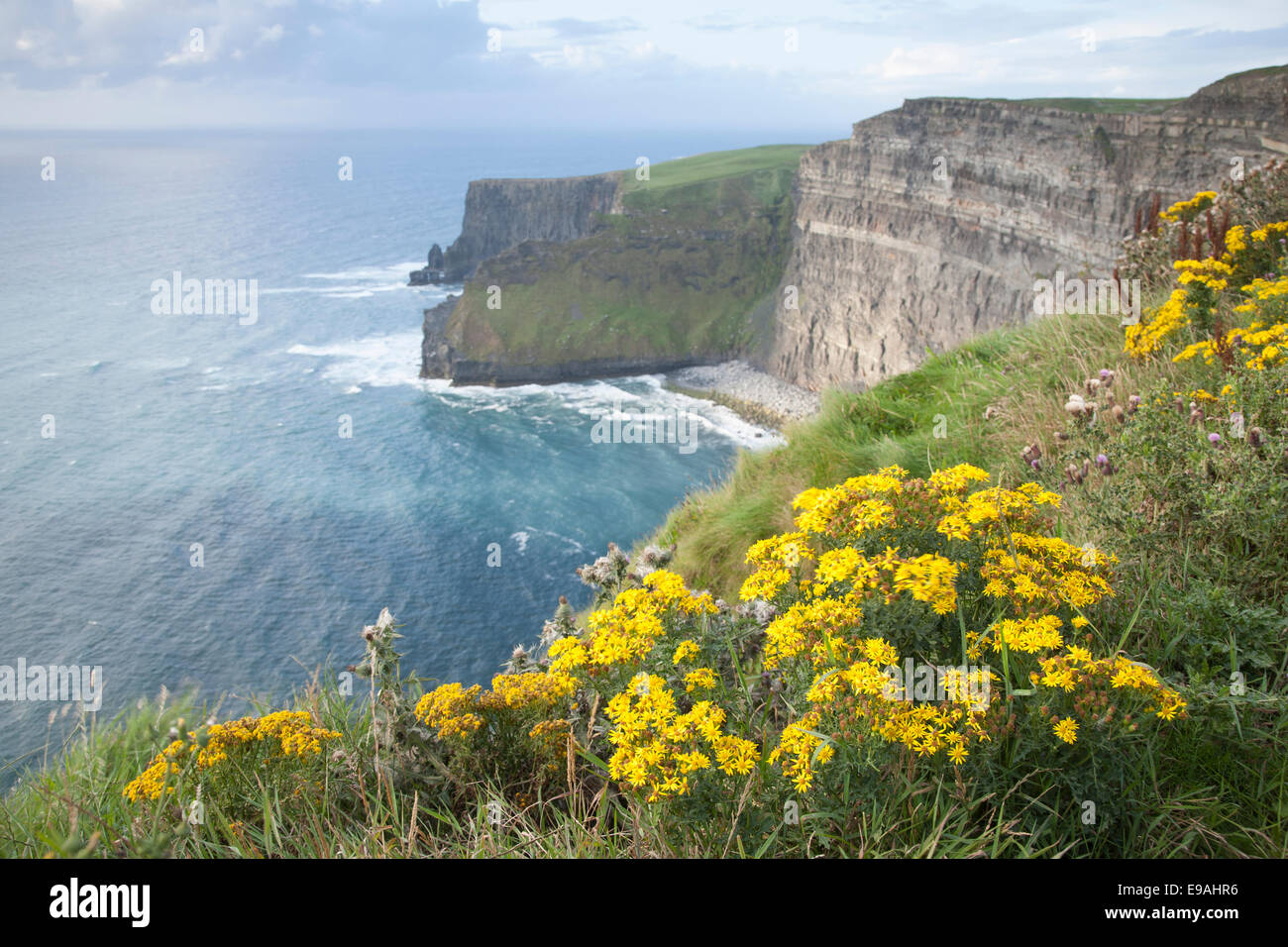 Cliffs of Moher; Clare; Ireland Stock Photo - Alamy
