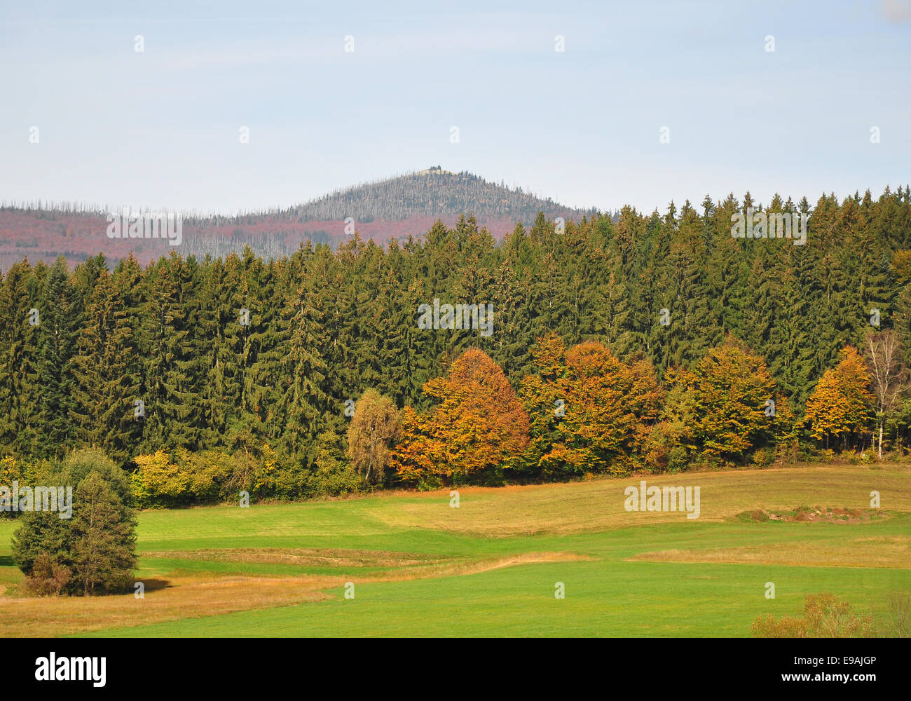 Lusen hi-res stock photography and images - Alamy