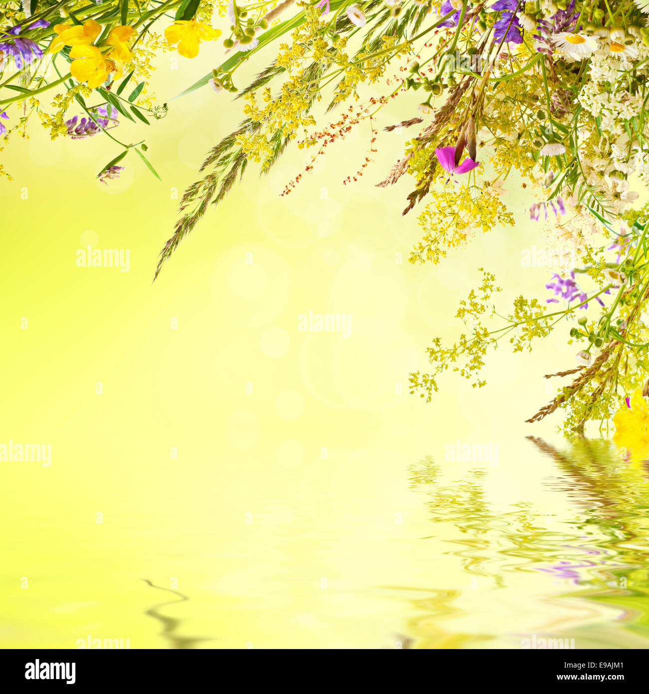 Floral easter background Stock Photo - Alamy