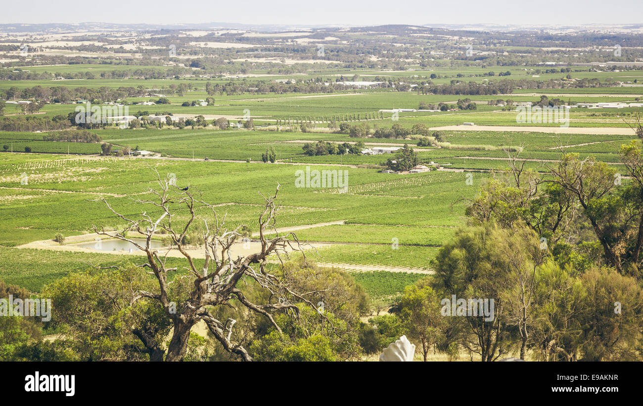 Barossa valley tourism hi-res stock photography and images - Alamy
