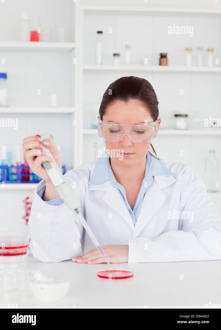 Preparing a sample hi-res stock photography and images - Alamy