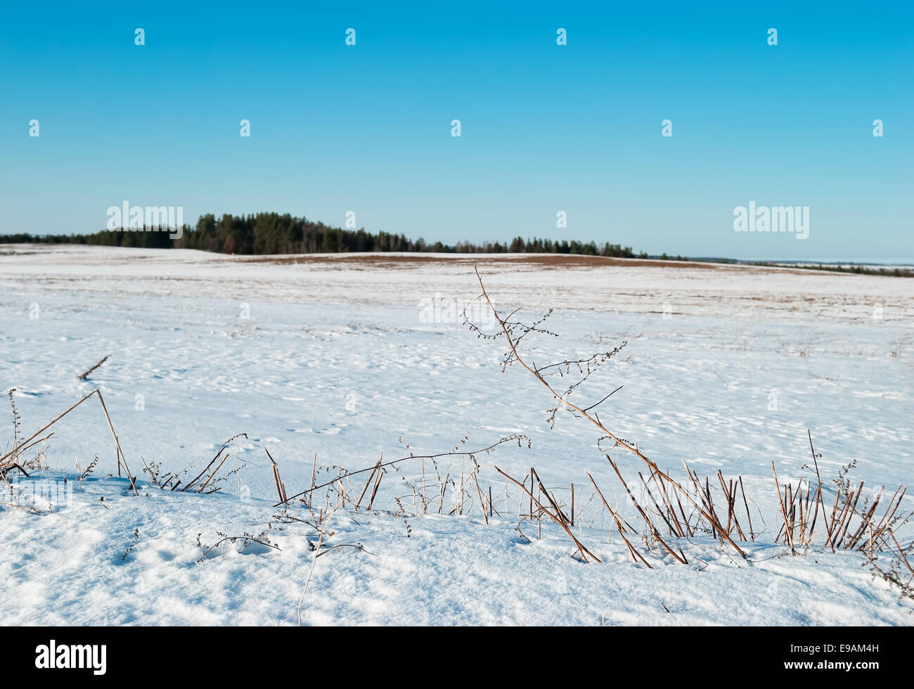 March nature europe landscape hi-res stock photography and images - Alamy
