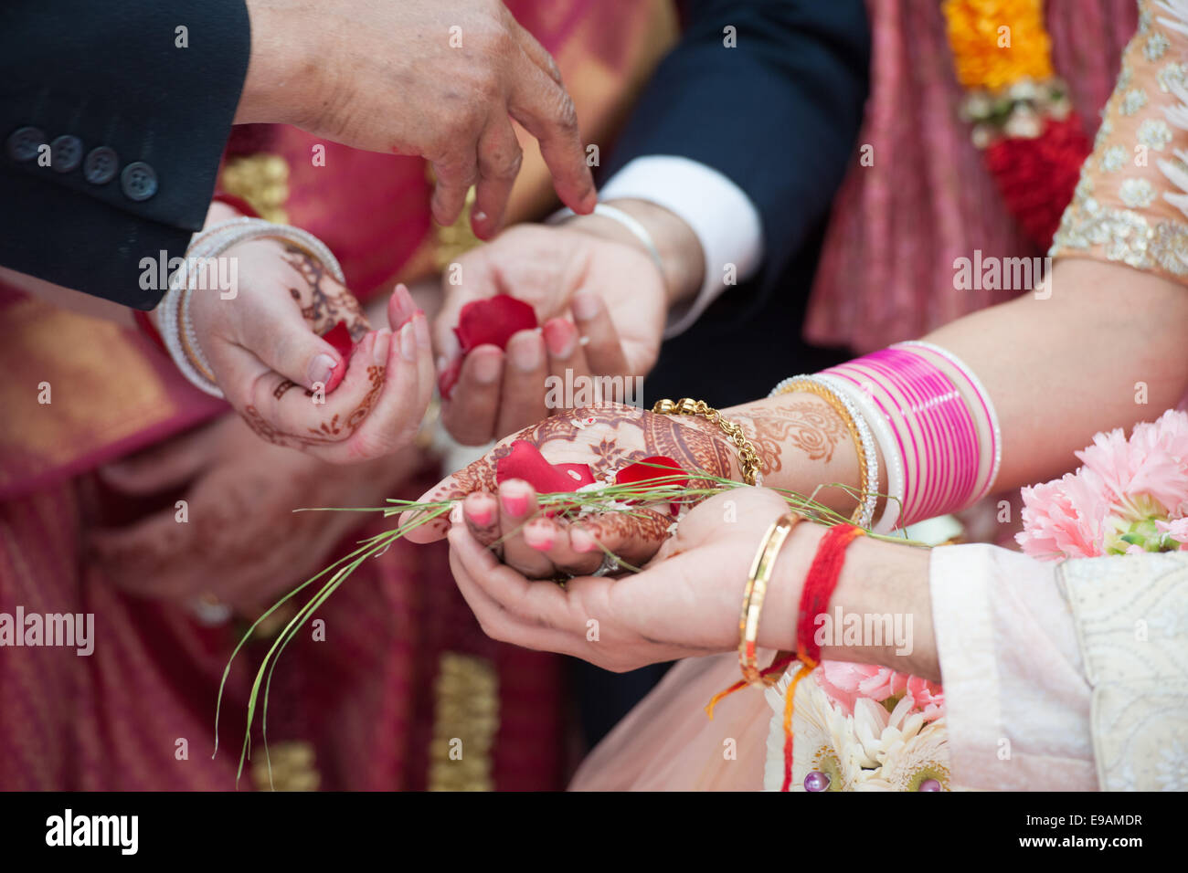 Indian Hindu Wedding with garlands of flowers beauty colours and ...