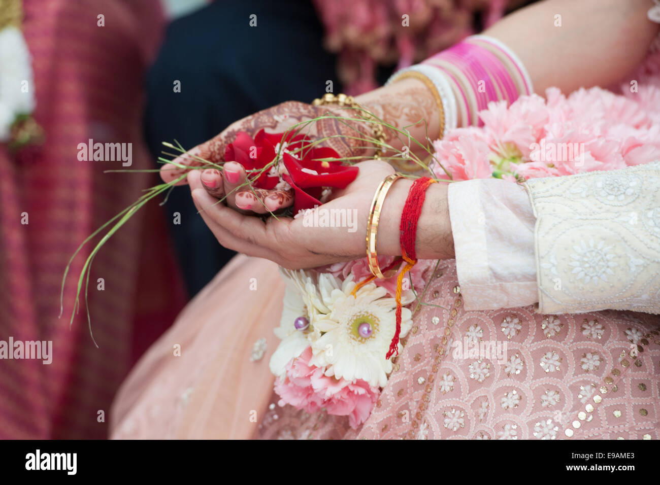 Indian Hindu Wedding with garlands of flowers beauty colours and ...