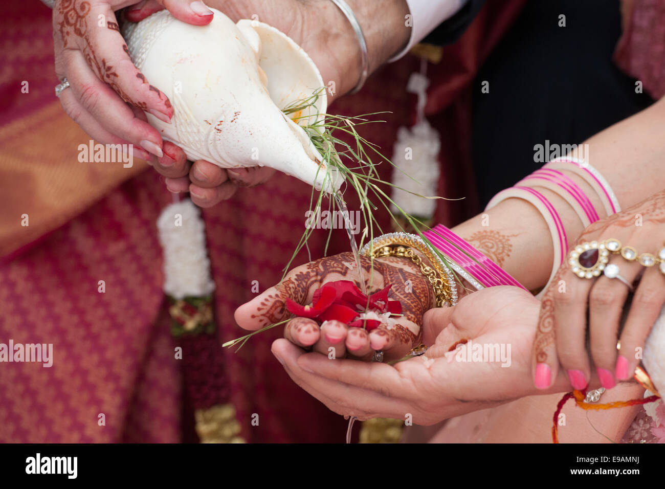 Indian Hindu Wedding with garlands of flowers beauty colours and ...