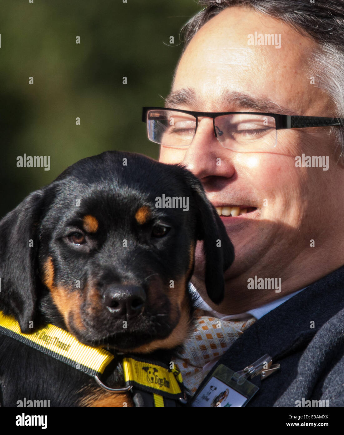 Dogs trust rescue hi-res stock photography and images - Alamy
