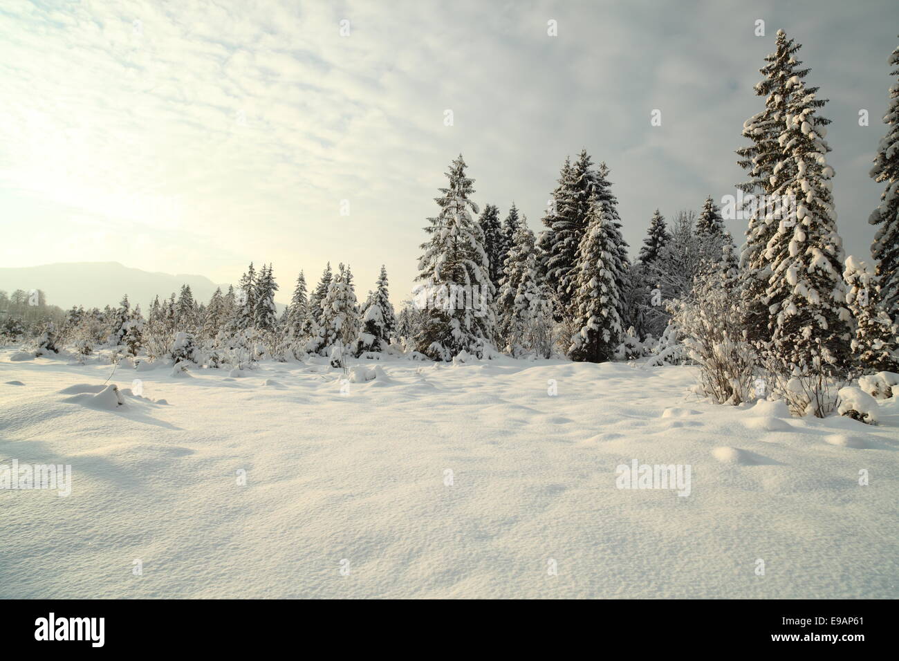 Winterland hi-res stock photography and images - Alamy