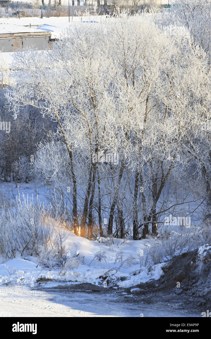 Omsk russia winter hi-res stock photography and images - Alamy