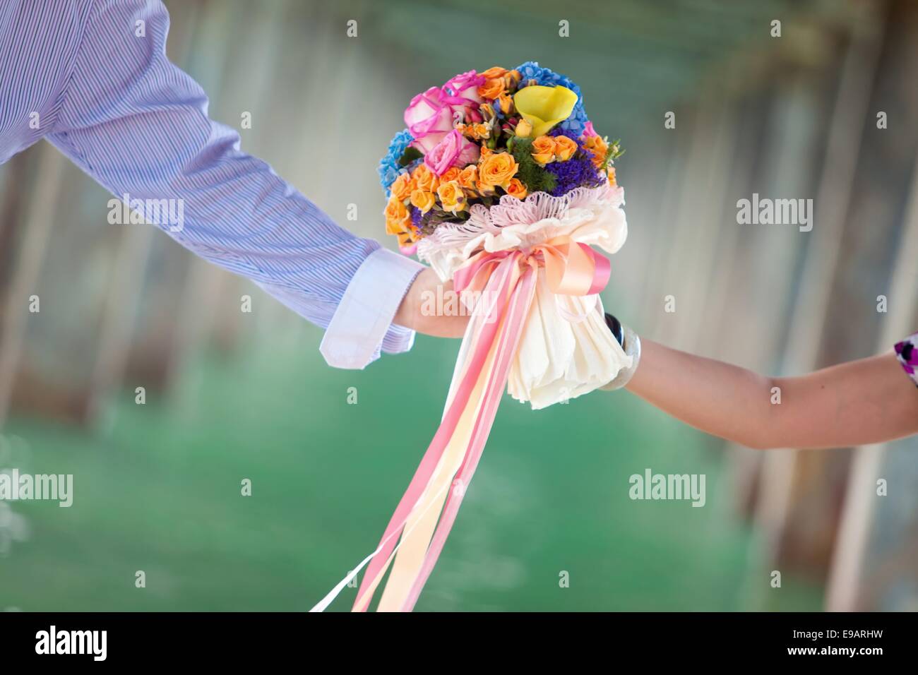 Hand holding lily hi-res stock photography and images - Alamy